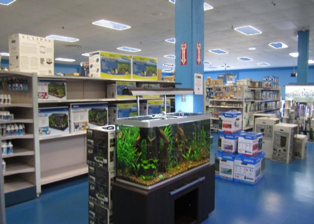 Local Fish store - The Planted Tank Forum