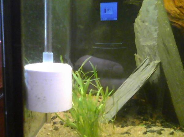 DIY CO2 Bell Diffusor | AquariaCentral.com