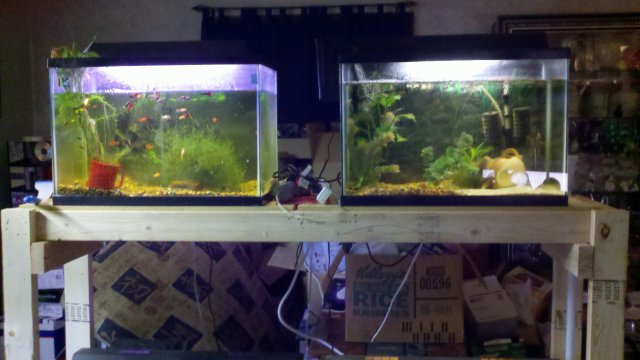 DIY Dual Aquarium Stand | AquariaCentral.com