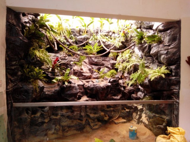 Building Large Planted Aquarium/Terrarium/Paludarium 10x11 feet ...