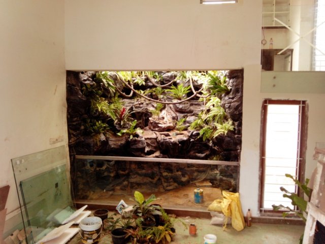 Building Large Planted Aquarium/Terrarium/Paludarium 10x11 feet ...