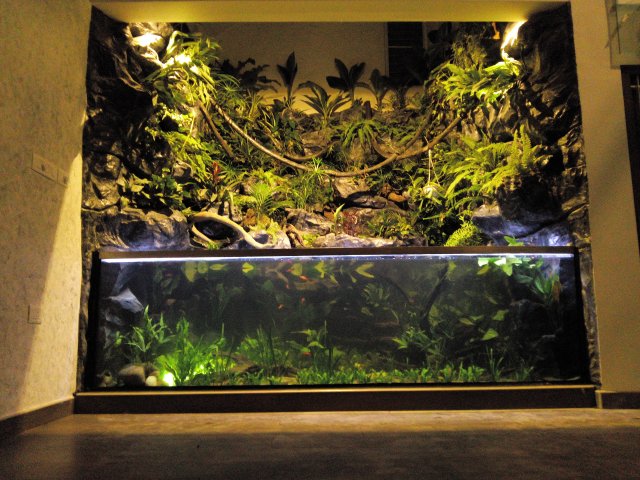 Building Large Planted Aquarium/Terrarium/Paludarium 10x11 feet ...