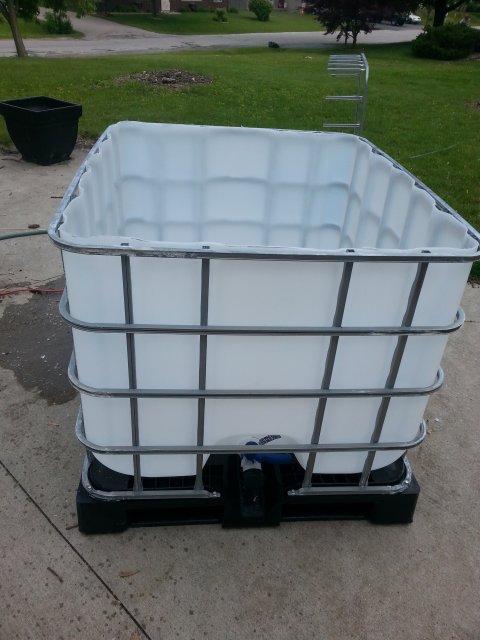 IBC Above Ground Pond: Filter ideas? Plants? | AquariaCentral.com